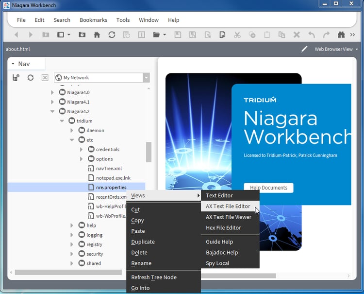 Modifying Max Heap for JVM on Niagara Supervisor in N4