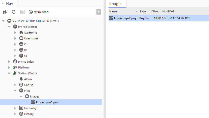 How to change the Niagara login screen adding a custom "logo" and "title"